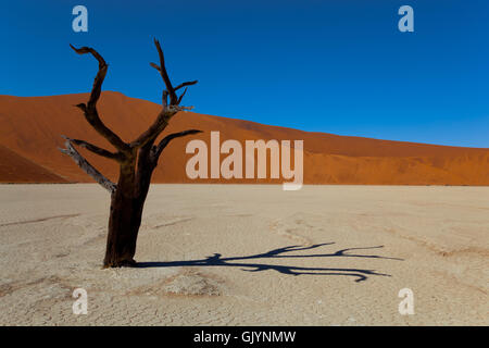 death tree desert wasteland africa dead death tree desert wasteland ...