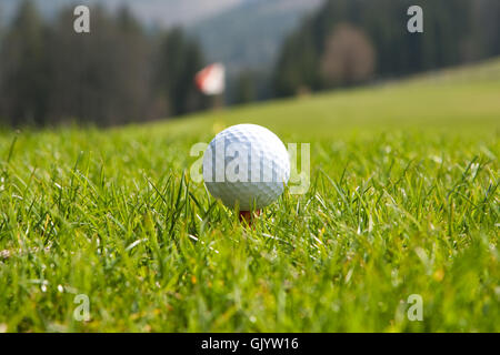 golf ball on course in front of driver Stock Photo - Alamy