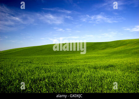 blue agriculture farming Stock Photo - Alamy