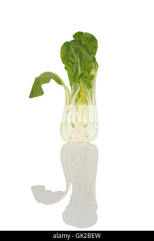 Young fresh organic white bok choy or bak choi Chinese cabbage ready to ...