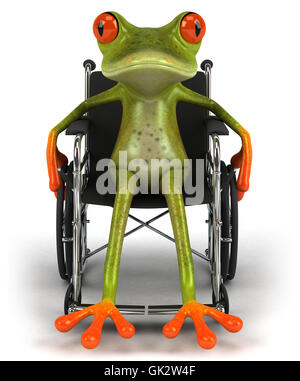 wheelchair animal frog ecology disability handicap nature green ...
