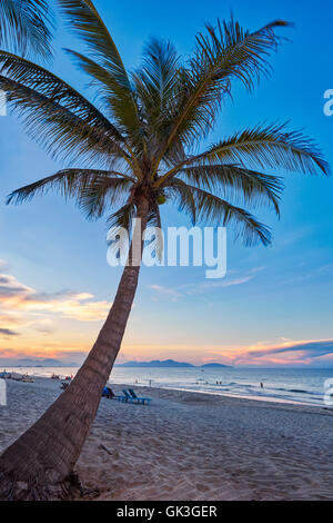 Leaning palm tree on beach at golden sunrise in Punta Cana resort Stock ...