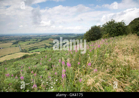 Sutton Bank Landscape, North York Moors, England, UK Stock Photo - Alamy