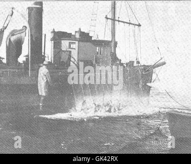 A floating trap net is used in commercial fishing to capture fish by ...