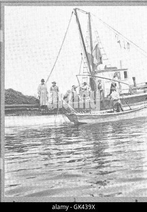 The seine net method for salmon fishing is demonstrated here, used to ...