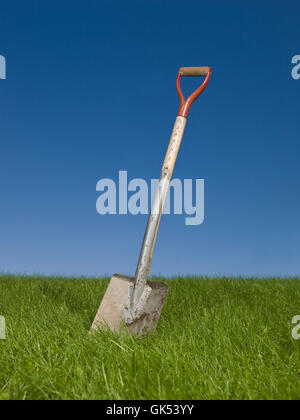 blue tree wood summer summerly silver sunlight dirt metal bright shiny ...