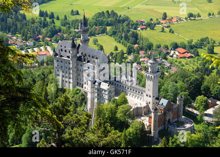 tree, ravine, sight, view, outlook, perspective, vista, panorama ...
