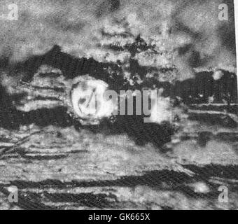 Teredo navalis, commonly known as the shipworm, is a species of mollusc ...