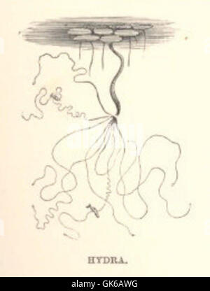 Map of Hydra Stock Photo - Alamy