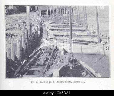 Gill-net boats, used for salmon fishing, are shown waiting for the ...