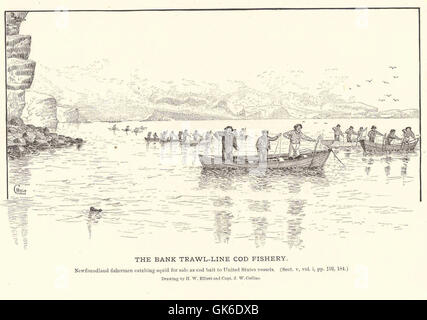The bank trawl-line cod fishery involves using a trawl line to catch ...