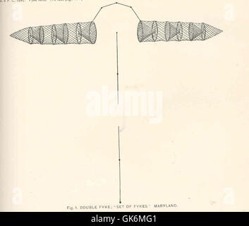 This image shows a fyke net used in the River Don, Russia. Fyke nets ...