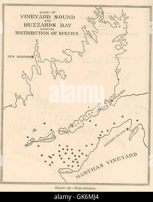 This chart of Vineyard Sound and Buzzards Bay displays the distribution ...