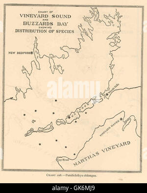 A chart of Vineyard Sound and Buzzards Bay, depicting the distribution ...