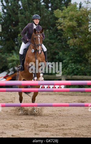 ride horse spring bouncing bounces hop skipping frisks jumping jump ...