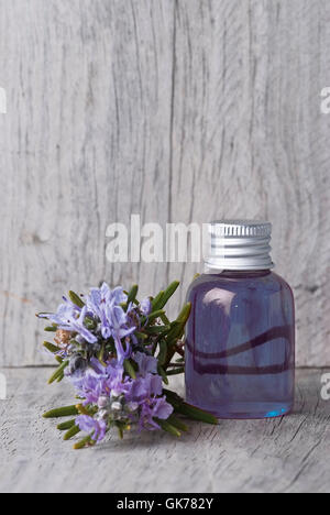 blue, health, medicinally, medical, flower, plant, green, leaves ...