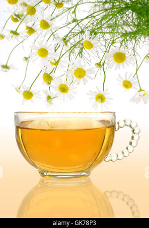 cup, beautiful, beauteously, nice, leaf, health, life, exist, existence ...