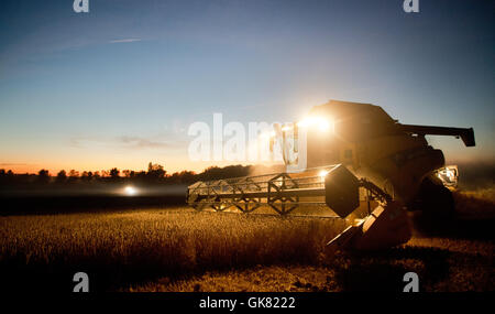 Sehnde, Germany. 17th Aug, 2016. A farmer harvesting wheat using a ...