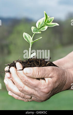 Small Earth model with human hands. Abstract composition of peace Stock ...