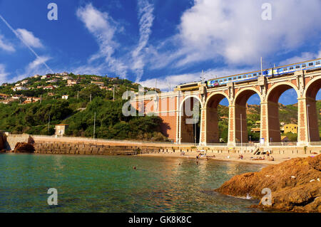 railway, locomotive, train, engine, rolling stock, vehicle, means of ...