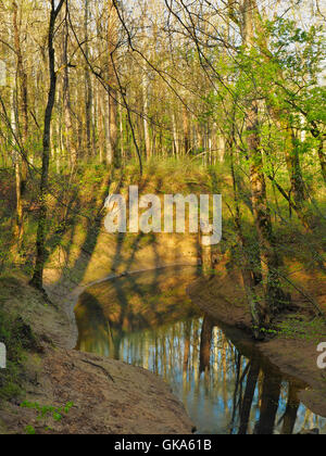 Echo River Spring, Echo River Spring Trail, Mammoth Cave National Park ...