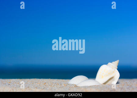 salt, macro, close-up, macro admission, close up view, crystals, close ...