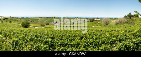 agriculture, farming, summer, summerly, panoramic, cornwall ...