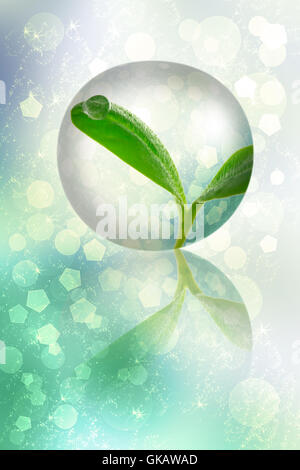 leaf, life, exist, existence, living, lives, live, environment ...