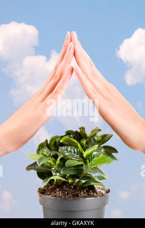 blue, finger, environment, enviroment, green, energy, power ...