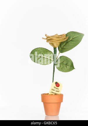 Little white flower in golden light of the evening Stock Photo - Alamy