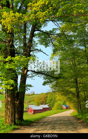 Jenne Farm In Spring, South Woodstock, Vermont Stock Photo - Alamy