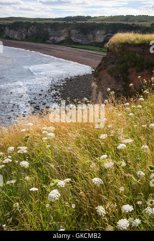 Blast Beach at Dawdon looking to Nose's Point on Durham Heritage Coast ...
