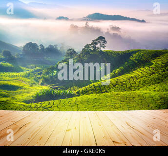 beautiful tea garden farm with misty valley in munnar kerala Stock ...