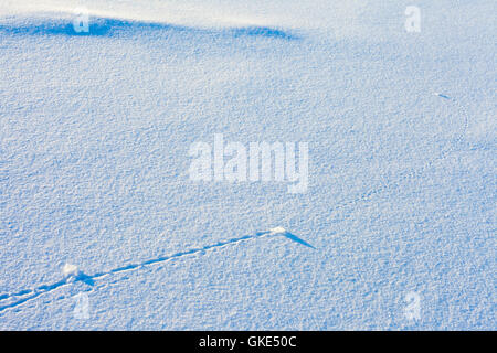 Trajectory lines on snow surface Stock Photo - Alamy