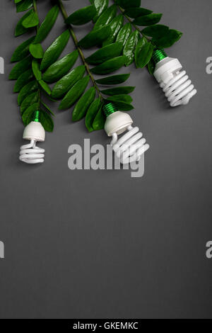 Three LED lamp with green leaf, ECO energy concept, close up. Light ...
