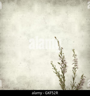 textured old paper background with heather Stock Photo - Alamy