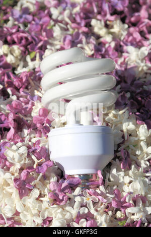 light bulbs, lying on the flowers of lilac Stock Photo - Alamy