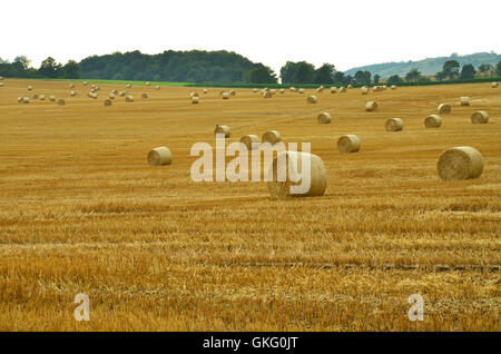 straw ball farmer straw grain cereal tower austrians stack straw ball ...