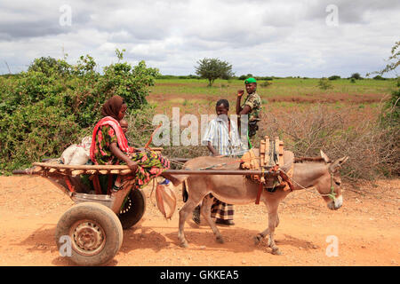 Ethiopian soldiers from AMISOM help move supplies in the Bay region of ...
