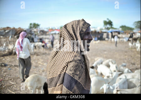 Bakara market, Mogadishu, Somalia, Africa Stock Photo - Alamy