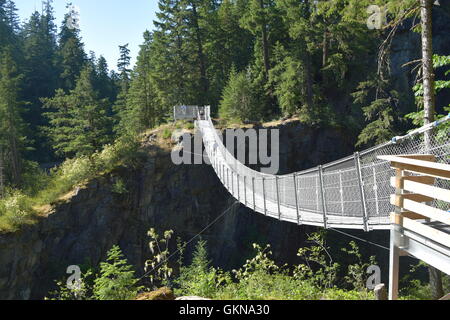 Elk Falls suspension bridge in Elk Falls Provincial Park spans the ...