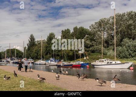 The former St. Helens canal at Spike Island in Widnes Cheshire.The ...
