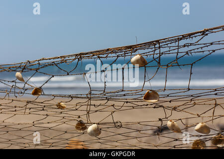 Shells and fishing net on the beach Stock Photo - Alamy