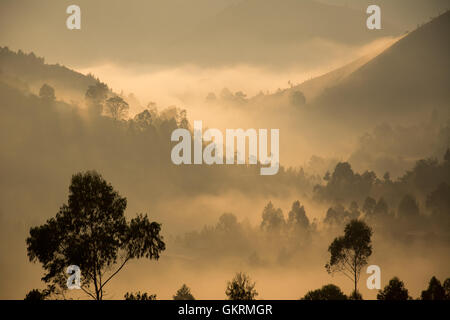 Democratic Republic of Congo - South Kivu. Village Stock Photo - Alamy