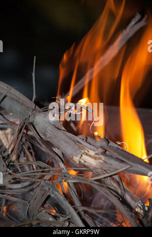 Fire of dry twigs on the green grass Stock Photo - Alamy