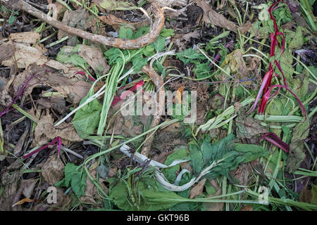 Rotting heap of vegetation garden waste to be recycled in the spring as ...