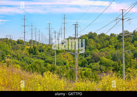 Power lines in Ontario, Canada Stock Photo - Alamy