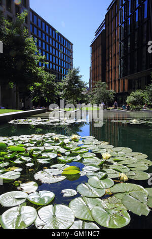 Green and sunny Pancras Square in the middle of contemporary office ...