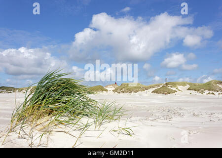 dunes, Amrum Island, North Friesland, Schleswig-Holstein, Germany Stock ...