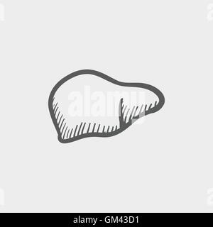 Human liver anatomy, vector sketch medicine aid scheme of body internal ...